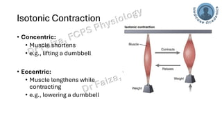 Characteristics of whole skeletal muscle contraction | PDF