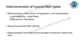 Characteristics of whole skeletal muscle contraction | PDF