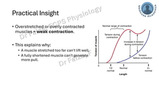 Characteristics of whole skeletal muscle contraction | PDF