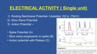 CHARACTERISTICS OF SMOOTH MUSCLE body.pptx