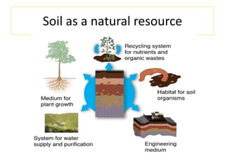 Characteristics of soils | PDF