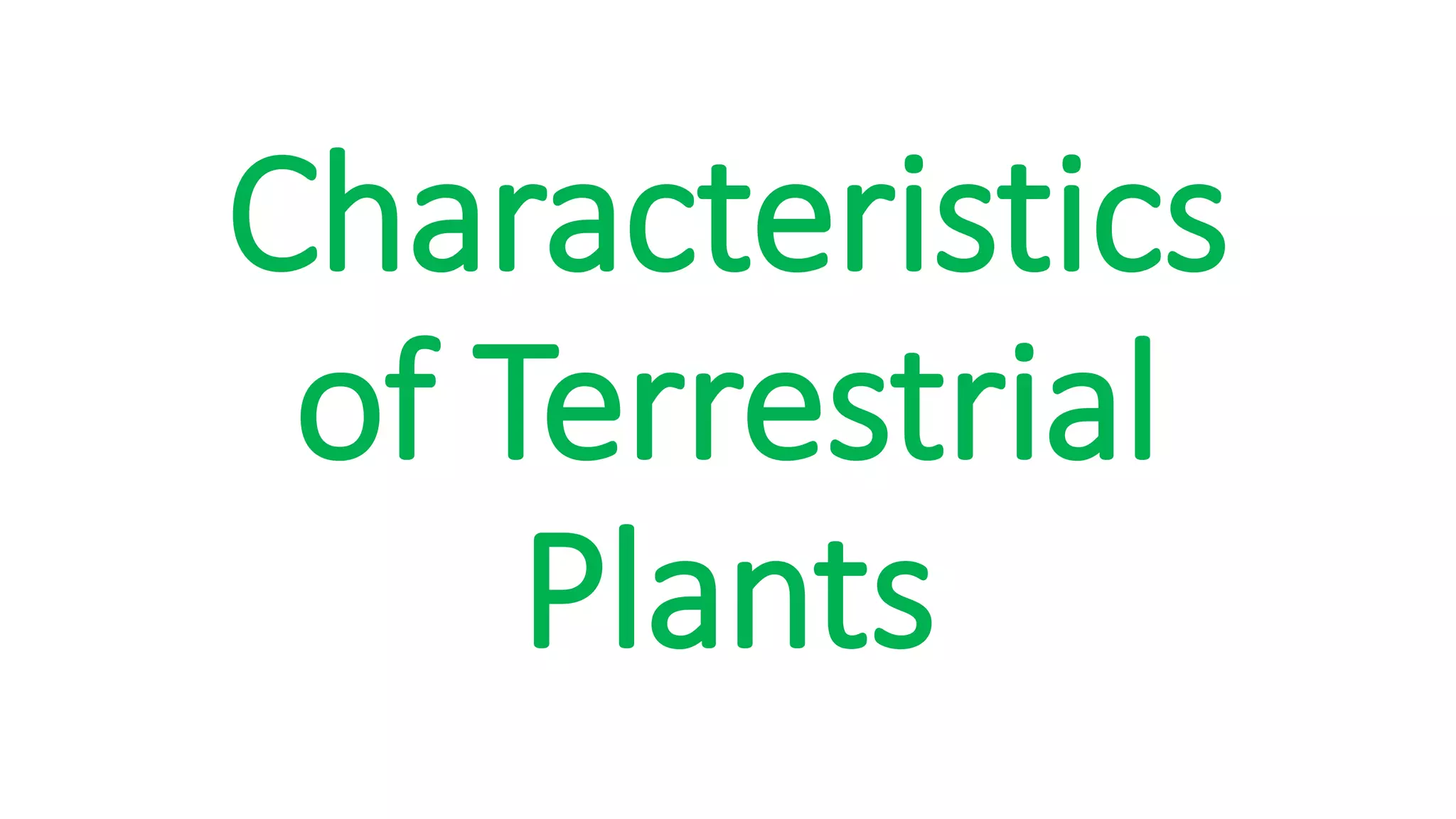 Characteristics of terrestrial plants | PPTX