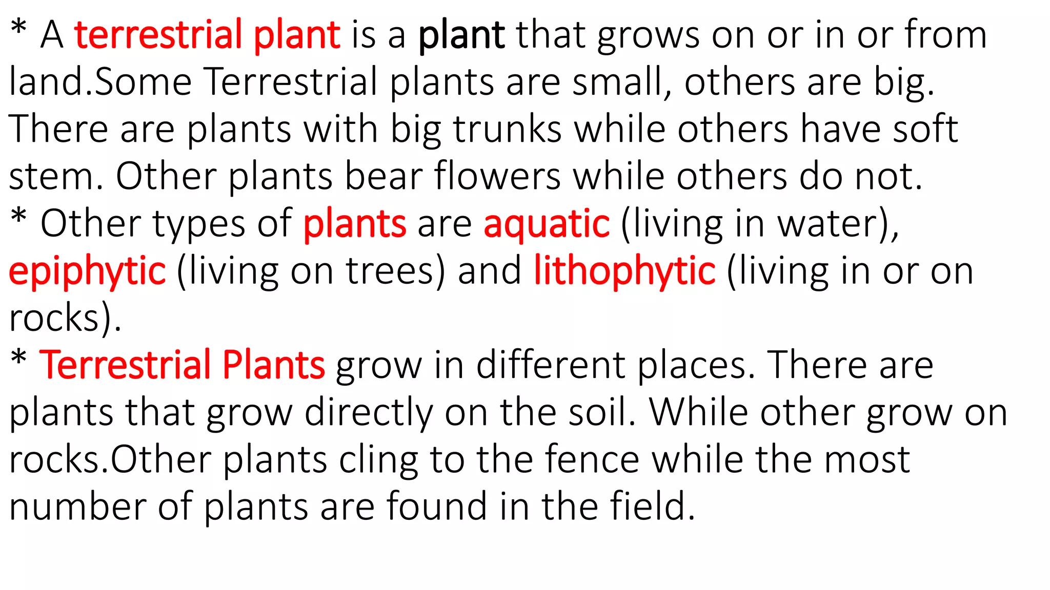 Characteristics of terrestrial plants | PPTX