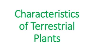 Characteristics of terrestrial plants | PPTX