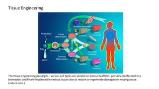Characteristics of the biomaterials for tissue engineering application ...