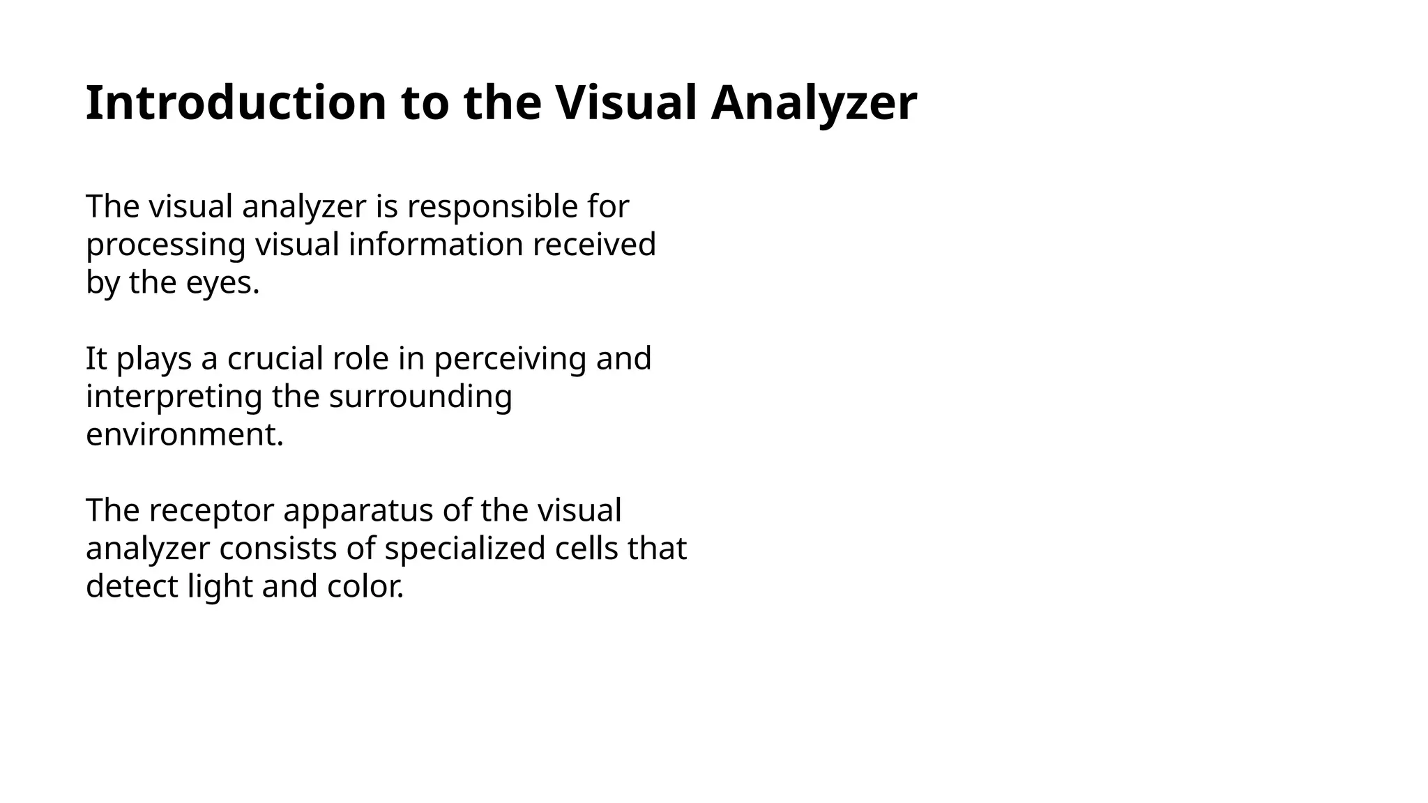 Characteristics Of The Visual Analyzer. The Receptor Apparatus. (1).pptx