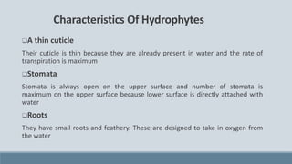 Characteristics of xerophytes & hydrophytes.pdf