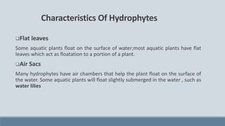 Characteristics of xerophytes & hydrophytes.pdf