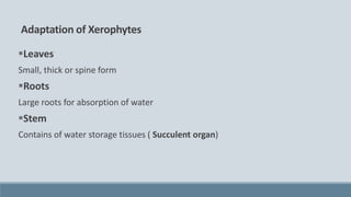 Characteristics of xerophytes & hydrophytes.pdf | Gardening | Home & Garden