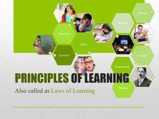 Characteristics and Principles of learning | PPTX | Primary Education ...