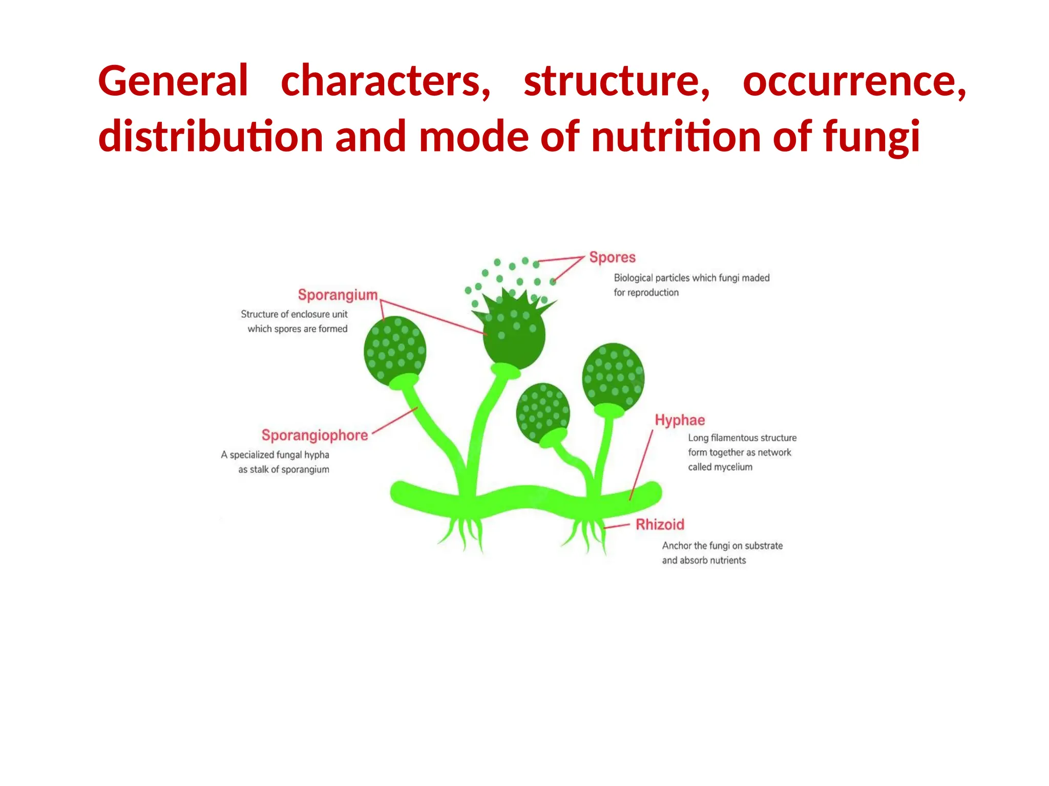 Characteristics, Structure, Occurrence, Distribution and Mode of ...