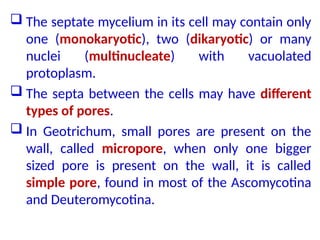 Characteristics, Structure, Occurrence, Distribution and Mode of ...