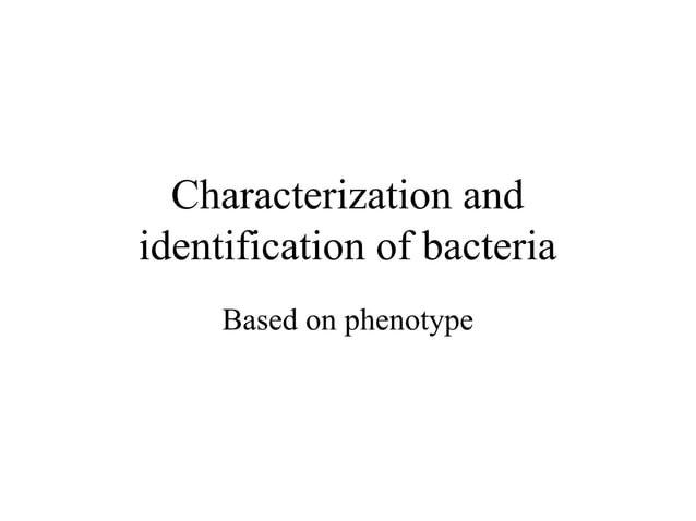 Characterization and identification of bacteria.ppt