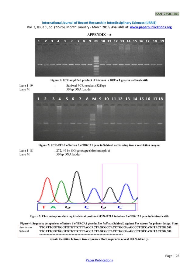 Characterization And Validation Of Point Mutation In Breast Cancer 1