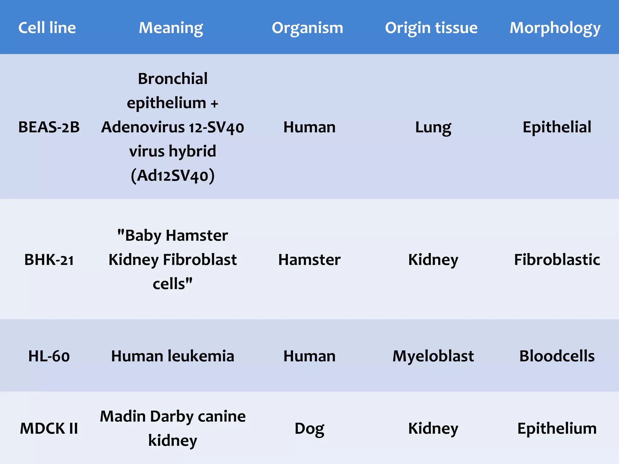 Characterization of Cell Line | PPT | Biological Sciences | Science