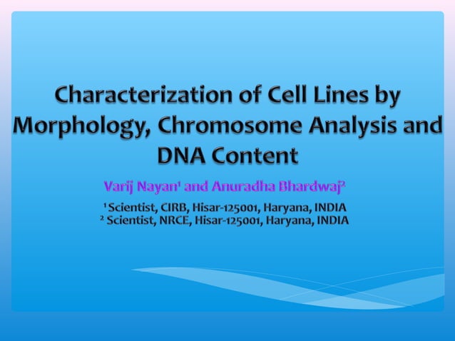 Characterization of Cell Line | PPT | Biological Sciences | Science