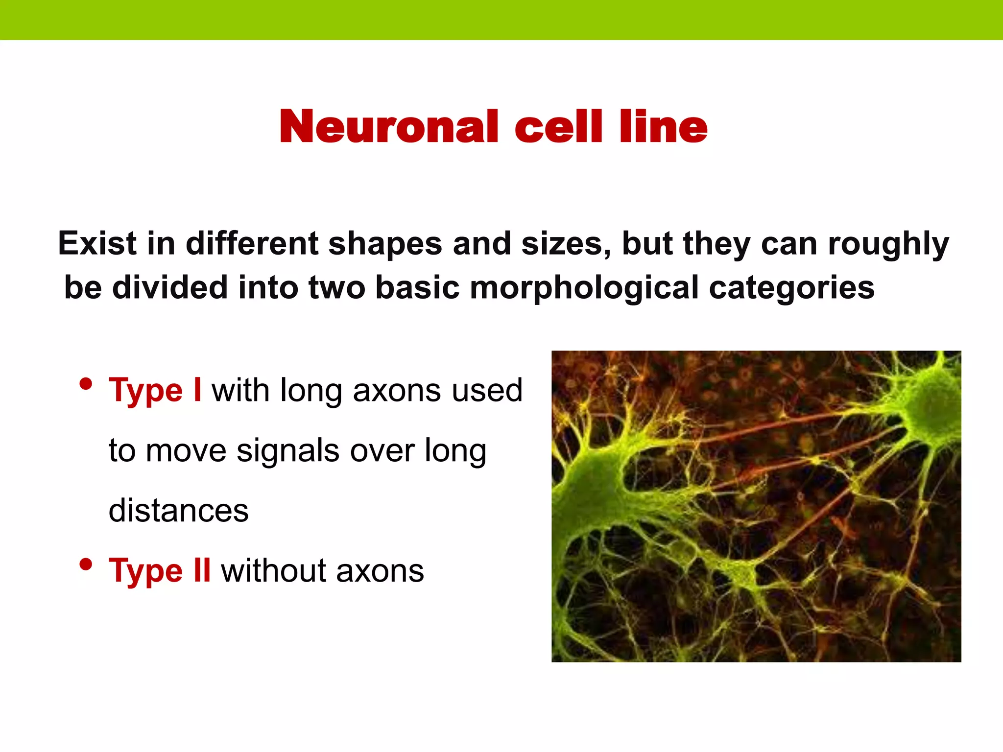 Characterization of cell line by Cell morphology, Chromosome analysis ...