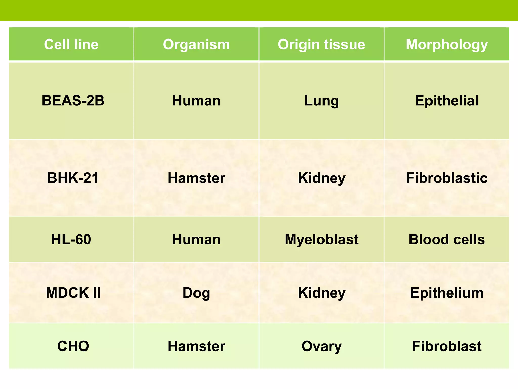 Characterization of cell line by Cell morphology, Chromosome analysis ...