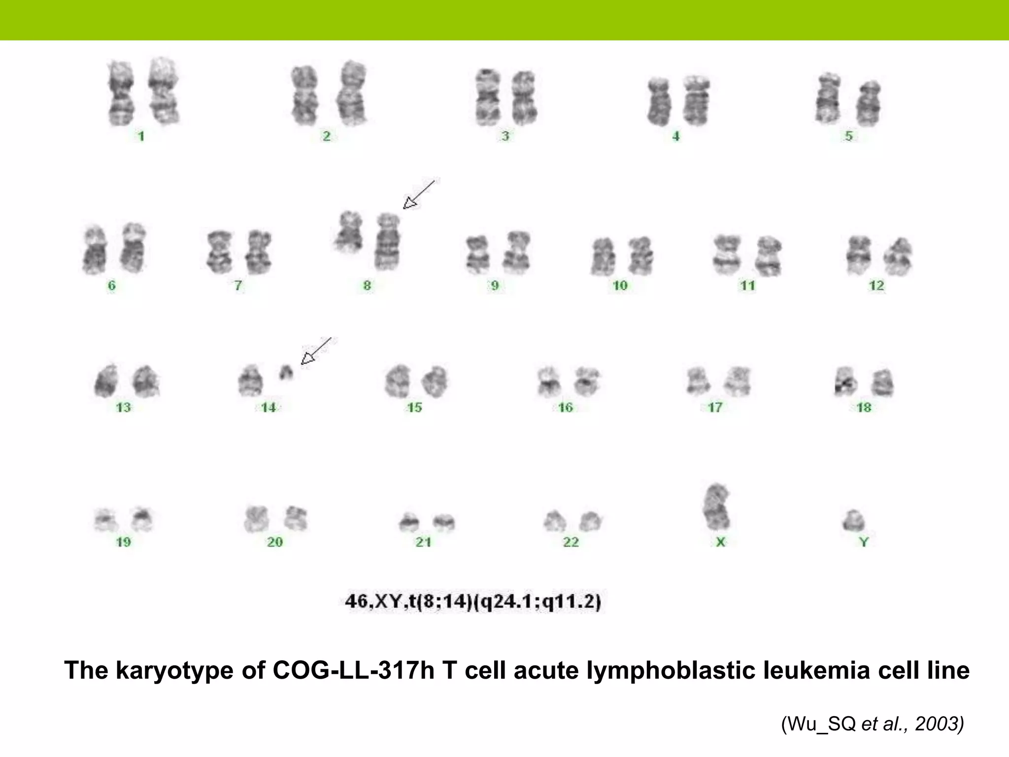 Characterization of cell line by Cell morphology, Chromosome analysis ...