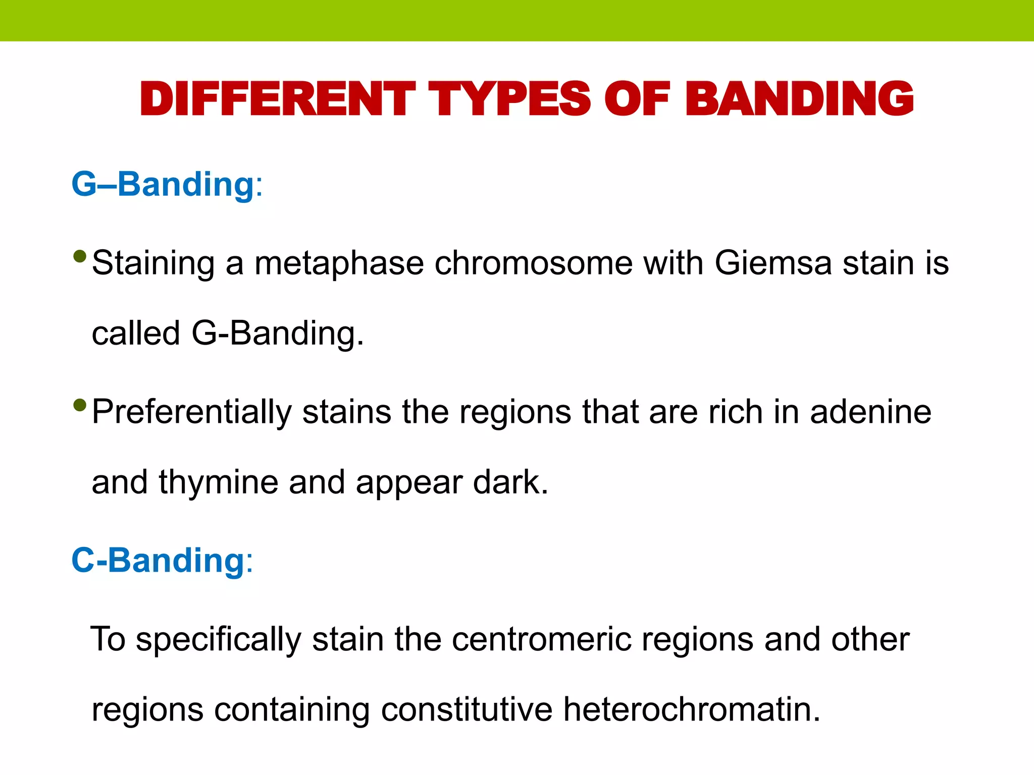 Characterization of cell line by Cell morphology, Chromosome analysis ...