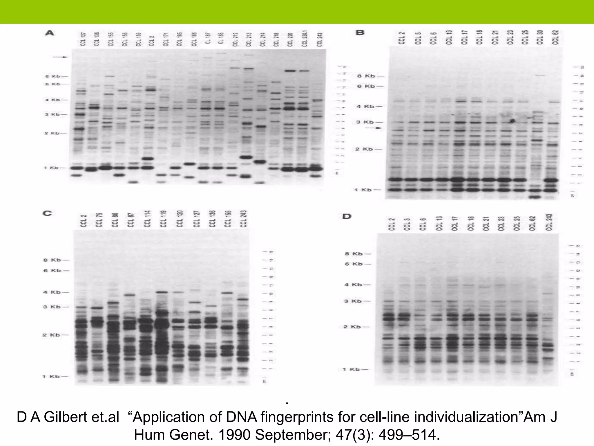 Characterization of cell line by Cell morphology, Chromosome analysis ...