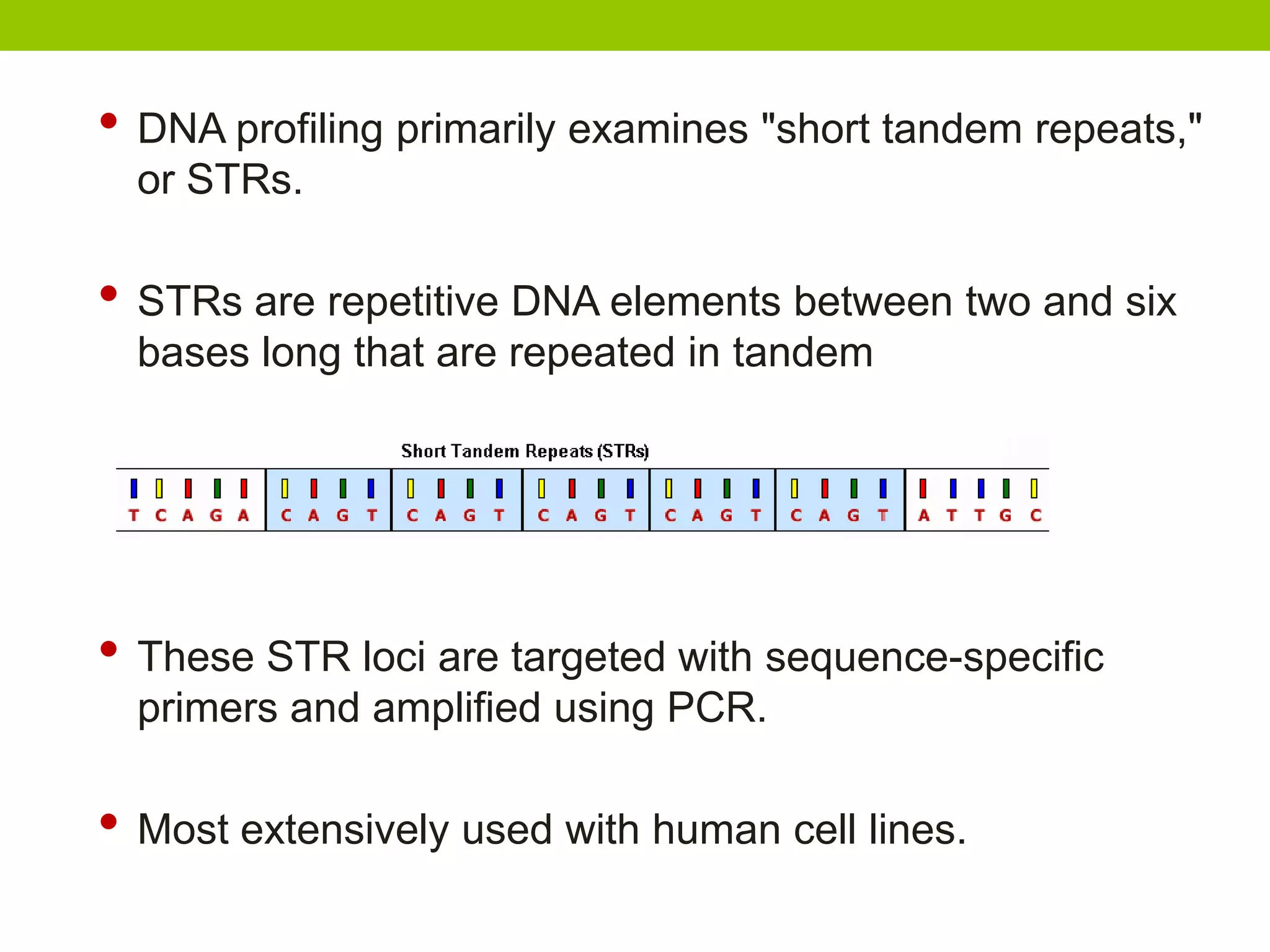 Characterization of cell line by Cell morphology, Chromosome analysis and DNA contents | PPTX