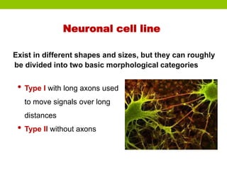 Characterization of cell line by Cell morphology, Chromosome analysis ...