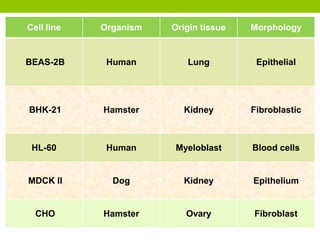 Characterization of cell line by Cell morphology, Chromosome analysis ...