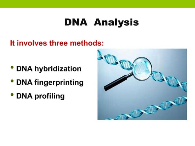 Characterization of cell line by Cell morphology, Chromosome analysis ...