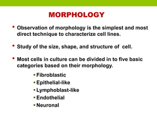 Characterization of cell line by Cell morphology, Chromosome analysis ...