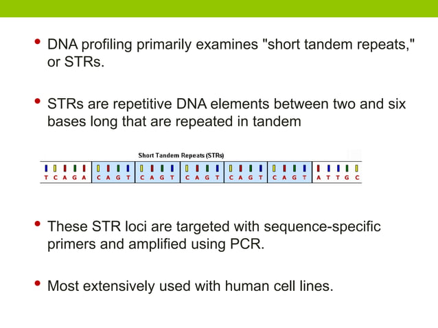 Characterization of cell line by Cell morphology, Chromosome analysis ...