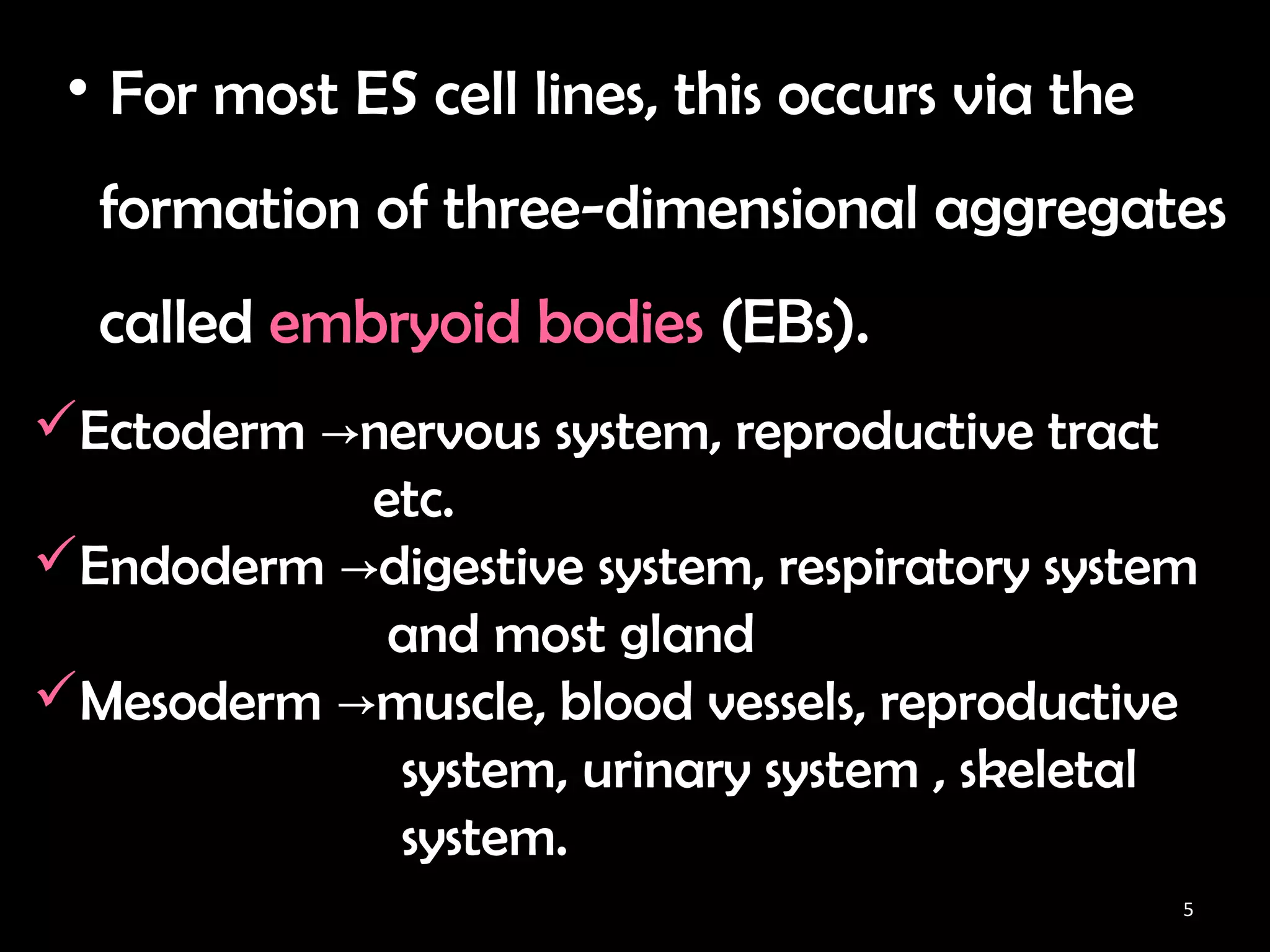 Characterization of embryoid bodies formed with different protocols ...