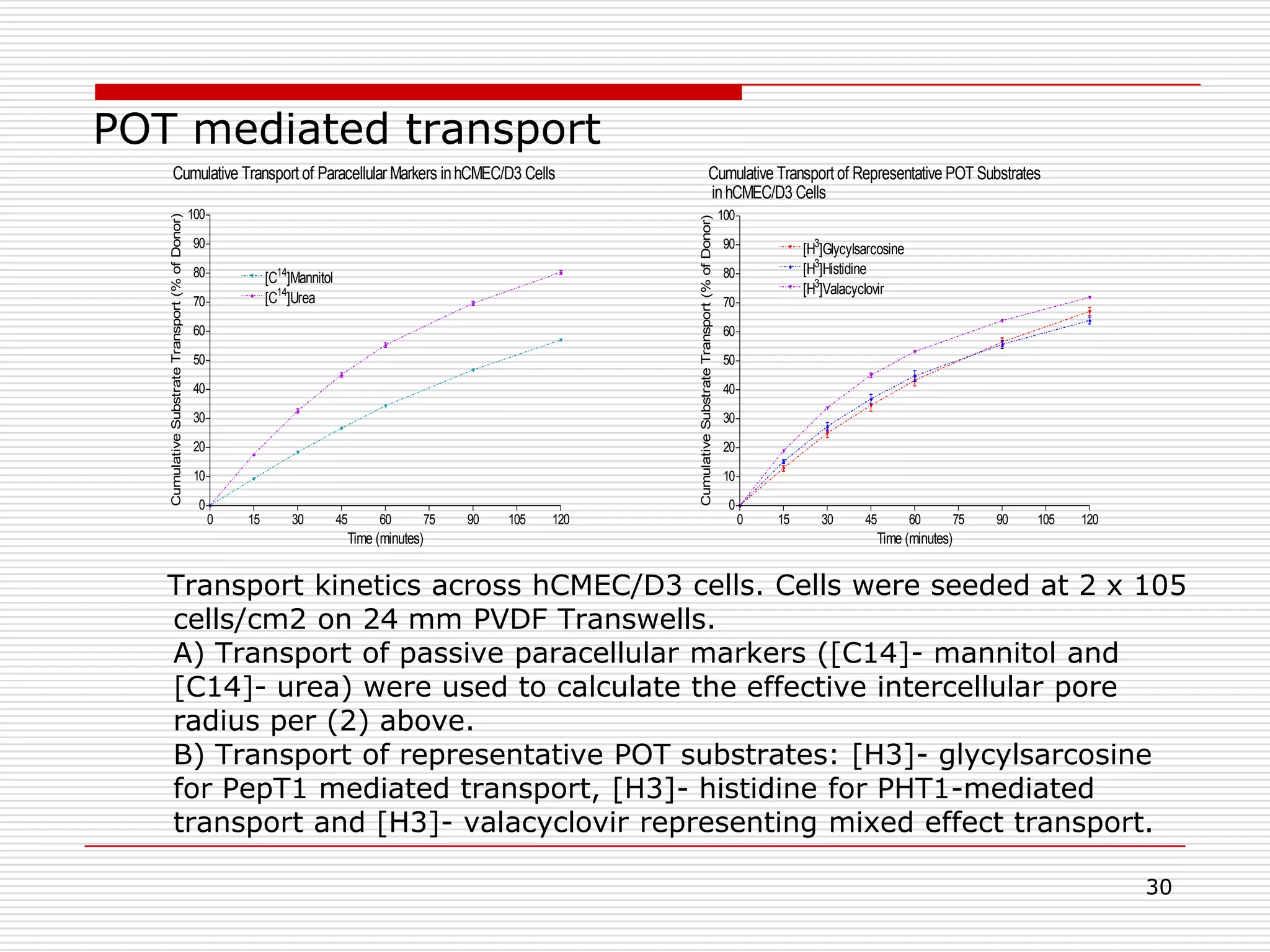 Characterization of novel human blood-brain barrier (hCMEC/d3) cell ...