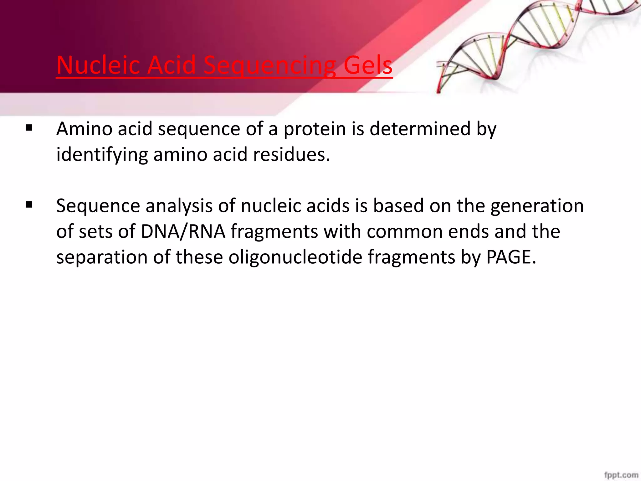 Characterization of nucleic acids and protein by electrophoresis | PPT