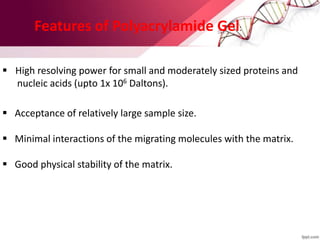 Characterization of nucleic acids and protein by electrophoresis | PPT