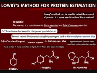 Characterization of protein | PPTX