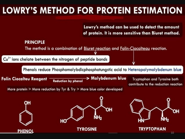 Characterization of protein | PPTX
