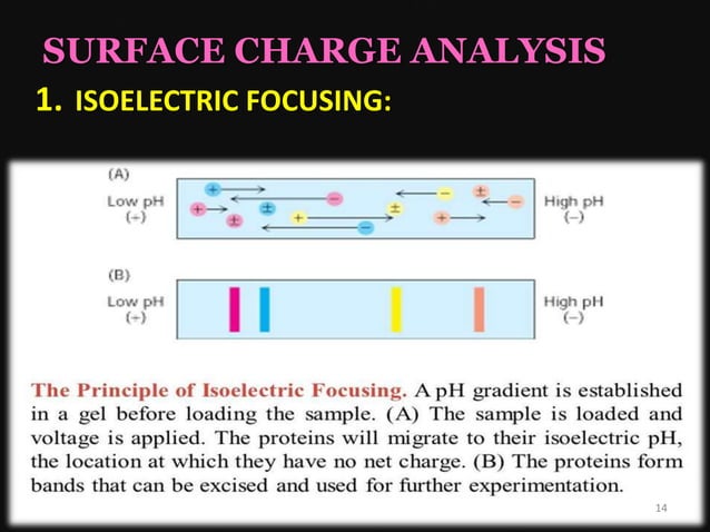 Characterization of protein | PPTX