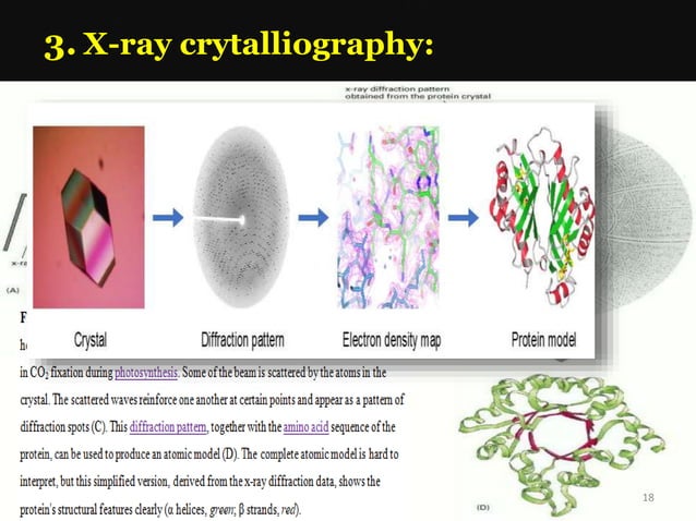 Characterization of protein | PPTX