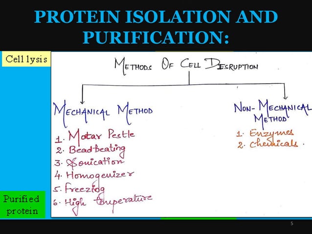 Characterization of protein | PPTX
