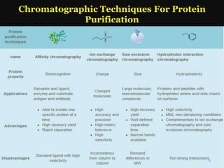 Characterization of protein | PPTX