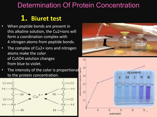 Characterization of protein | PPTX