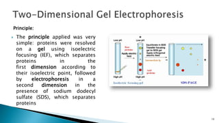 Characterization of proteins | PPTX