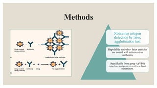 Characterization of serologic and molecular rotavirus from children ...