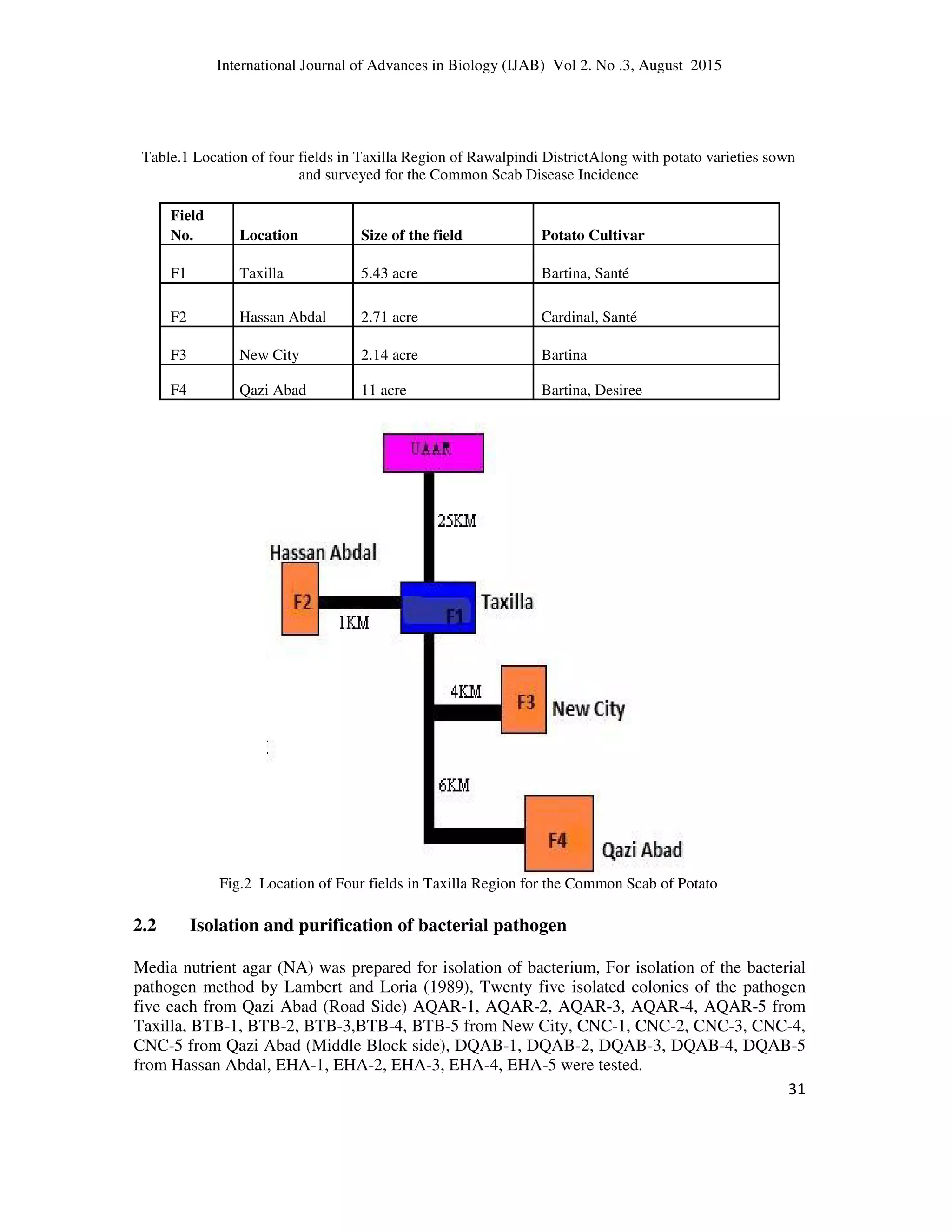 CHARACTERIZATION OF STREPTOMYCES SCABIES ISOLATES | PDF
