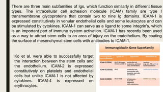 Characterization of the adhesive interactions between cells and ...