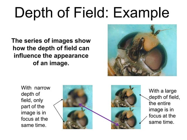 Material Characterization Techniques.pptx