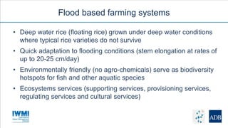 Characterizing flood based farming systems in the Ayeyarwady Delta of ...
