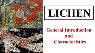 Introduction and Characters of Licghens.pptx