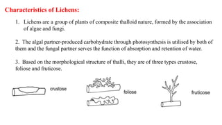 Introduction and Characters of Licghens.pptx